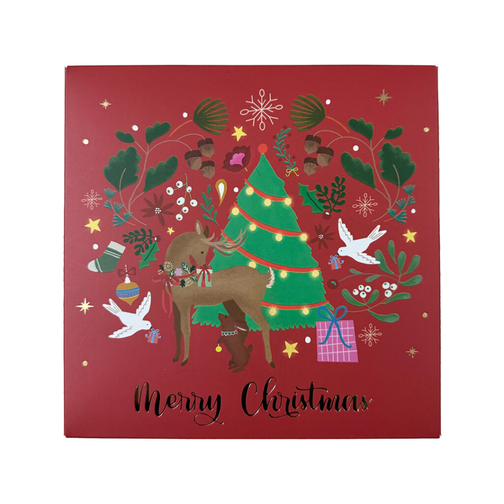 Christmas Collection | Skook Pack